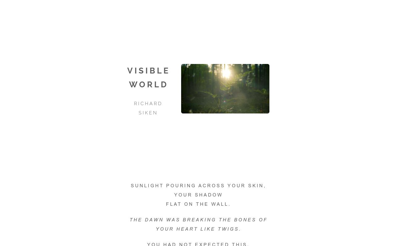 visible world by richard siken